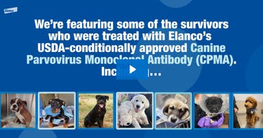 Defend Puppies. Defeat Parvo.